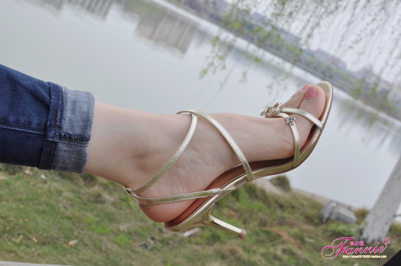 DSC 1634 | （福妹）主题相册